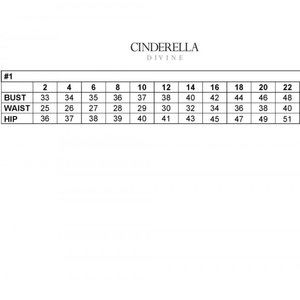 Cinderella | Dresses | New Long Off Shoulder Sleeveless Embroidered ...